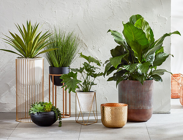 Homesense US - Home of your Next Discovery